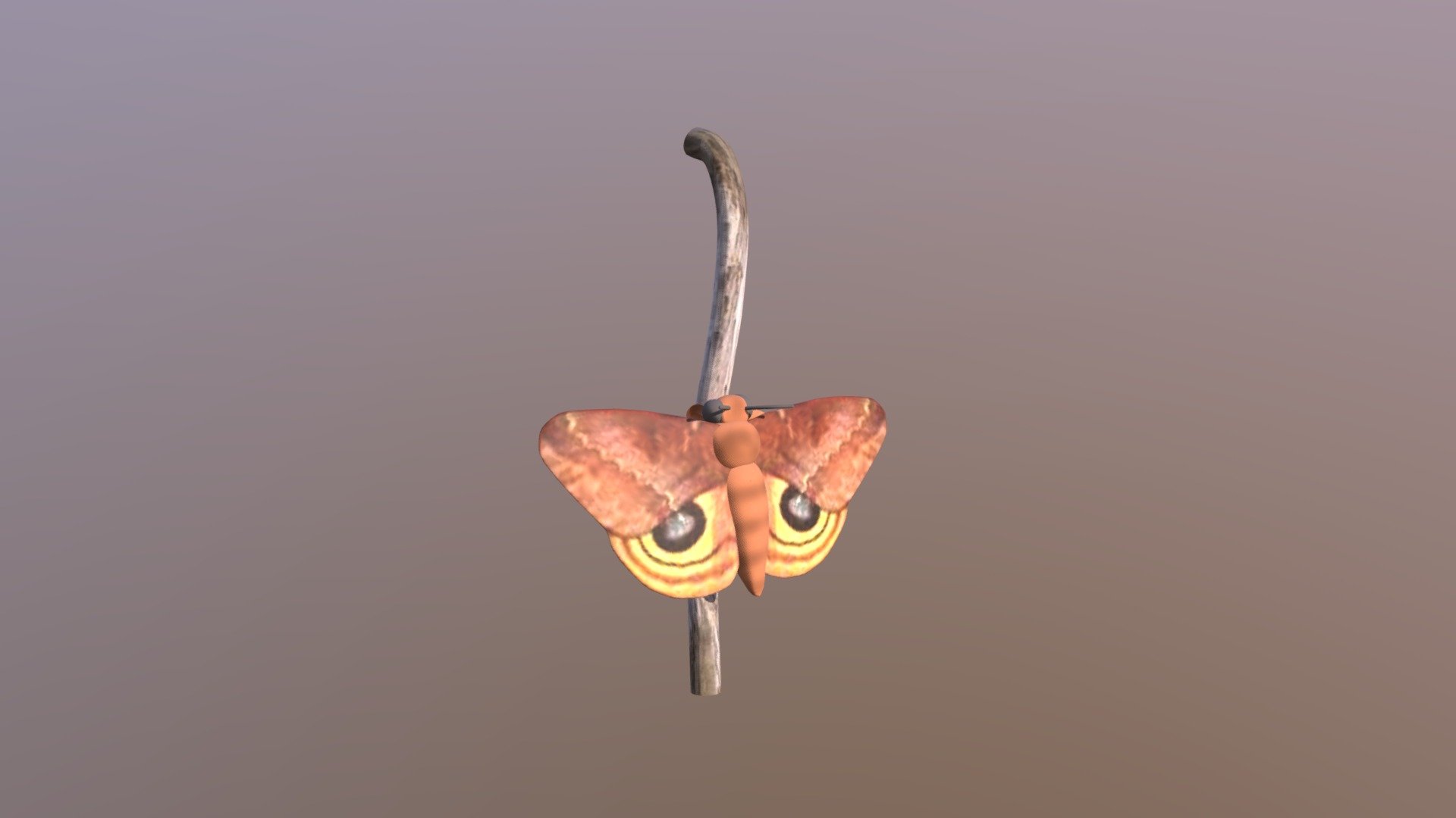 Io moth female - 3D model by butterflybliss (@ZorDob) [e162386] - Sketchfab