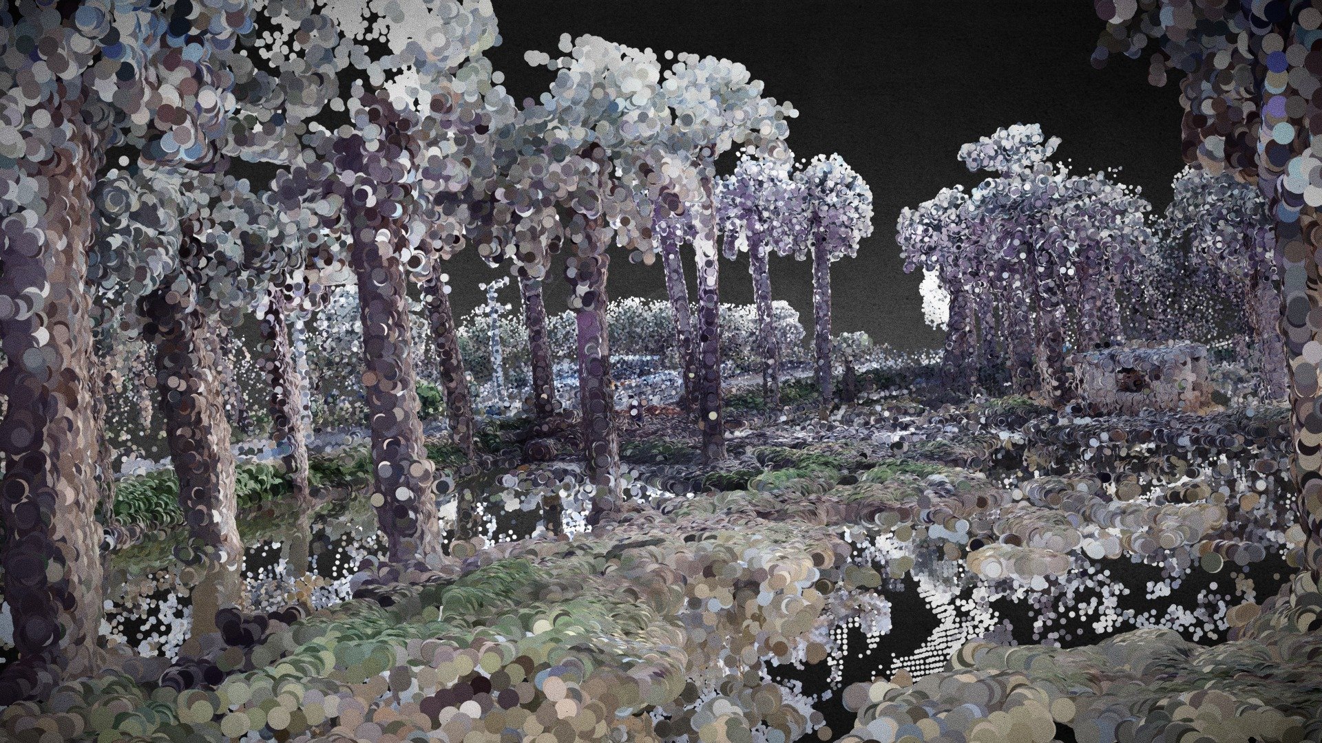 LocPalmPlantation : Neural Radiance Field ply - Download Free 3D model by Bart Drone operator ...