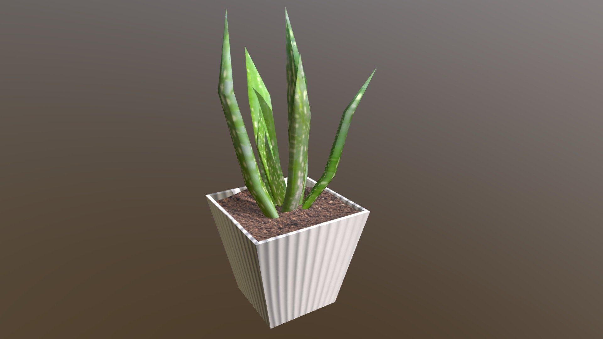 Aloe Vera - 3D model by aedanundea [e16fbb8] - Sketchfab