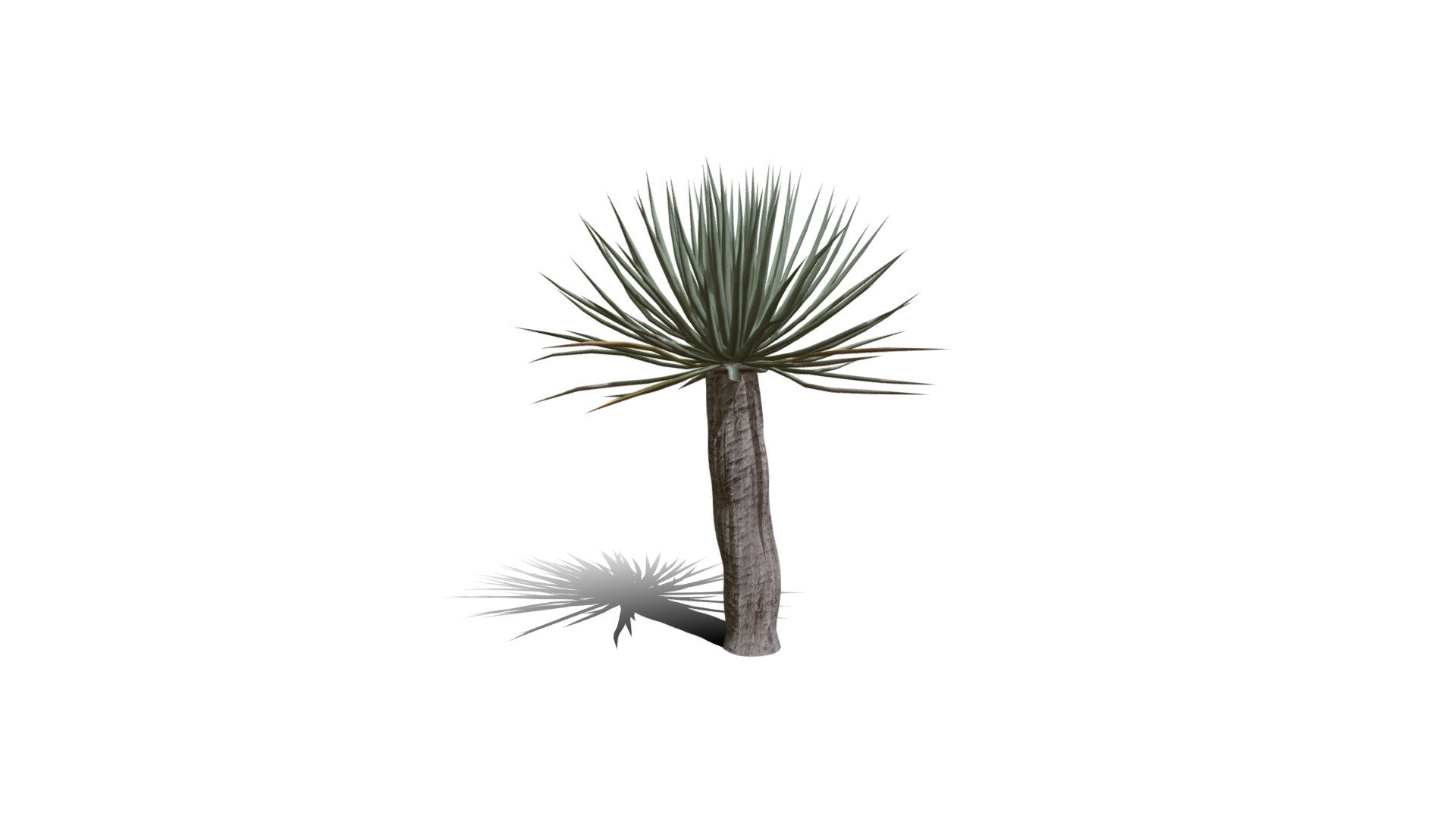 Realistic HD Dragon tree (46/50) - Buy Royalty Free 3D model by ...