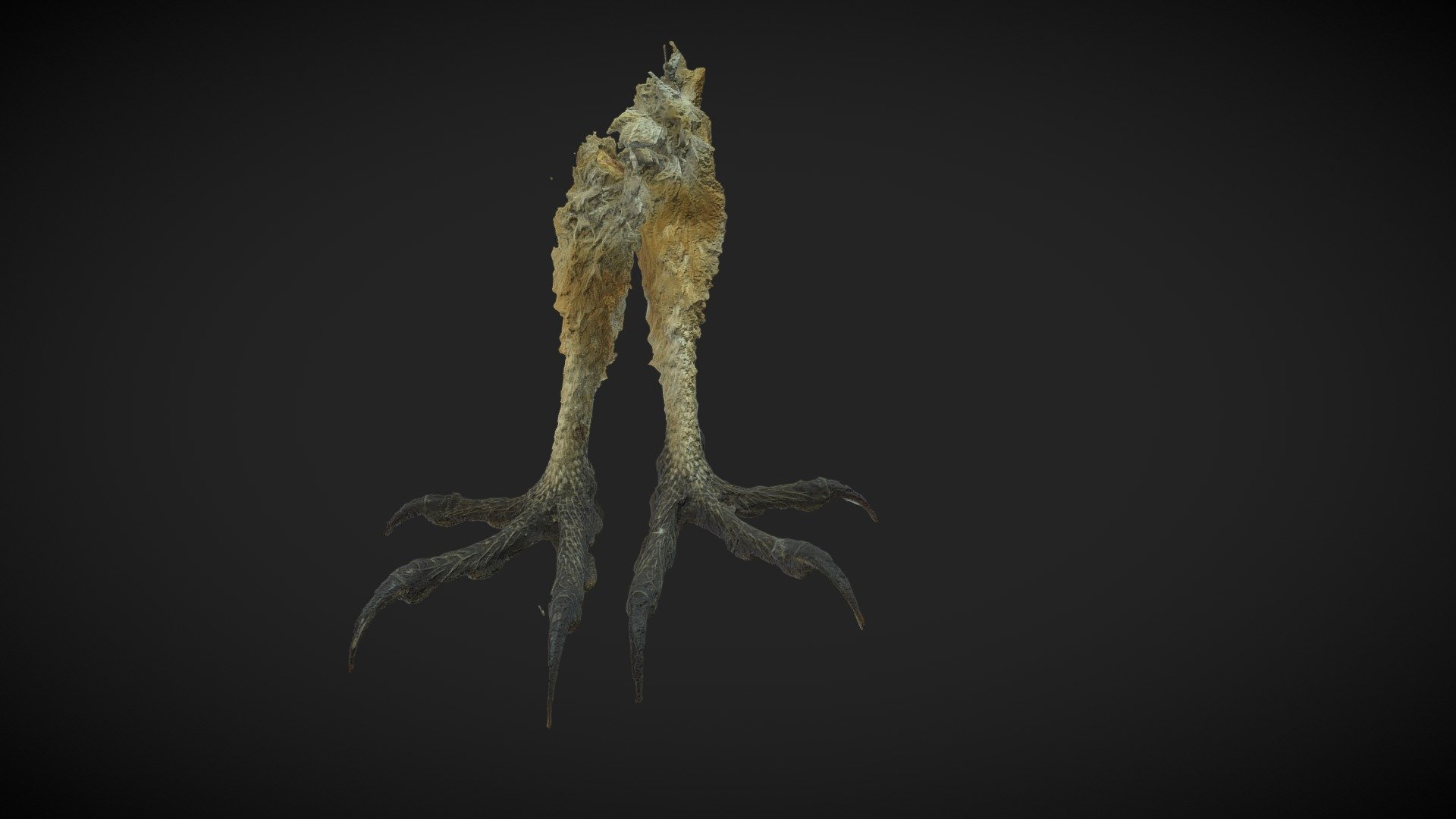 Owl Feet from Fresno Chaffee Zoo - 3D model by Access the World Around ...