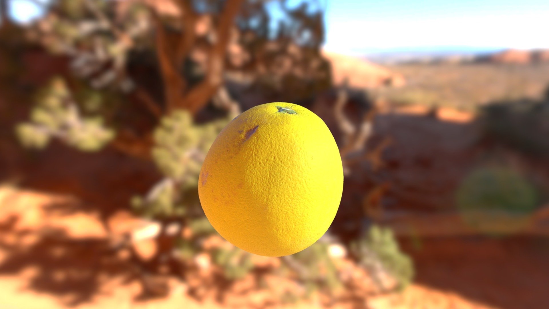 Pomelo Photogrammetry One - 3D model by GlenfordScans [e1ad95e] - Sketchfab