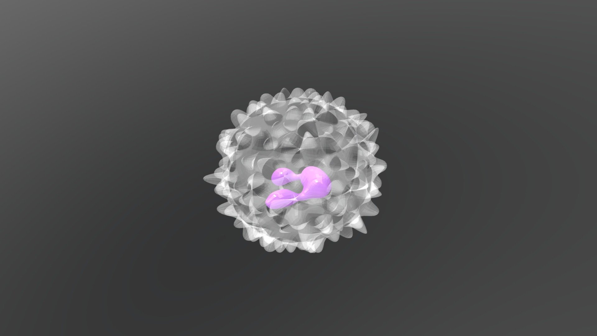 White Blood Cells - 3D model by ACKTEC Technologies (@Acktec) [e1aee37 ...