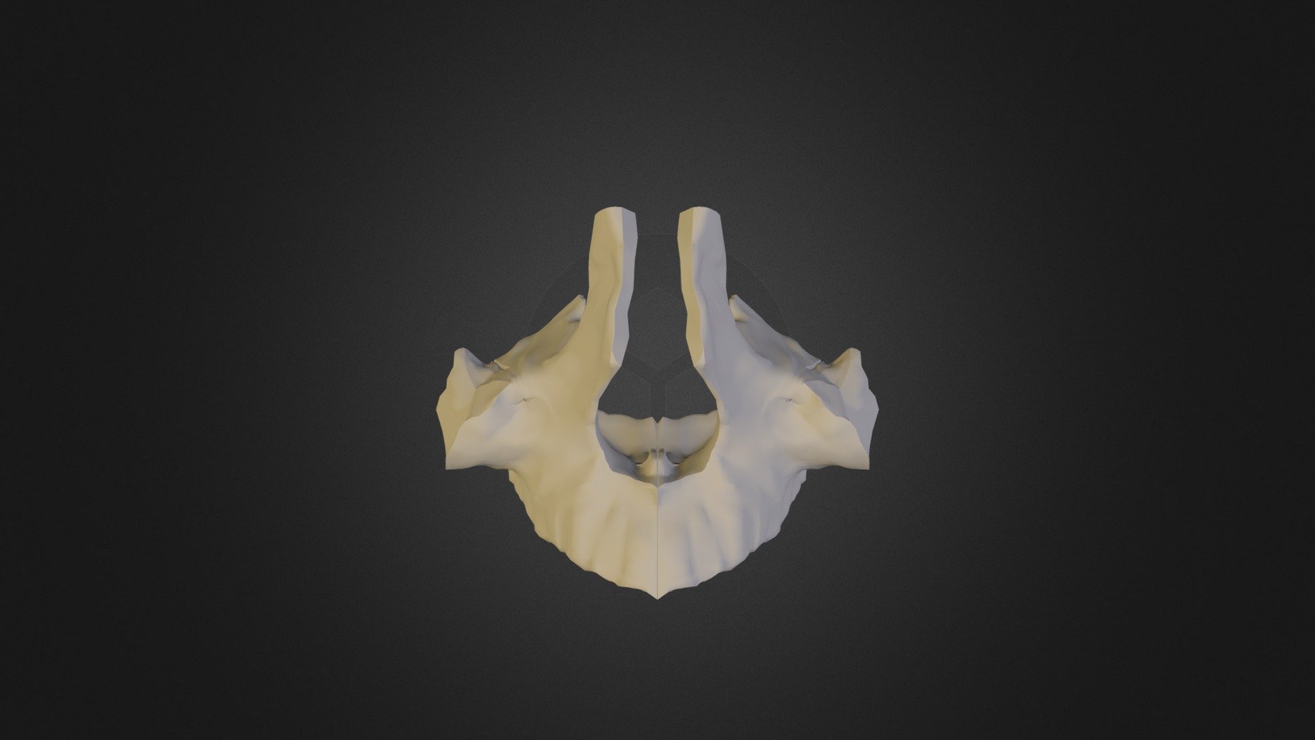Maxilla Human Anatomy - 3D model by Medical University of Lublin ...