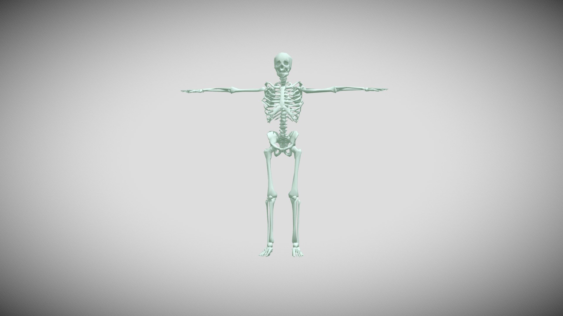 human skeleton dance - Download Free 3D model by tambolibhavy [e1b3483 ...