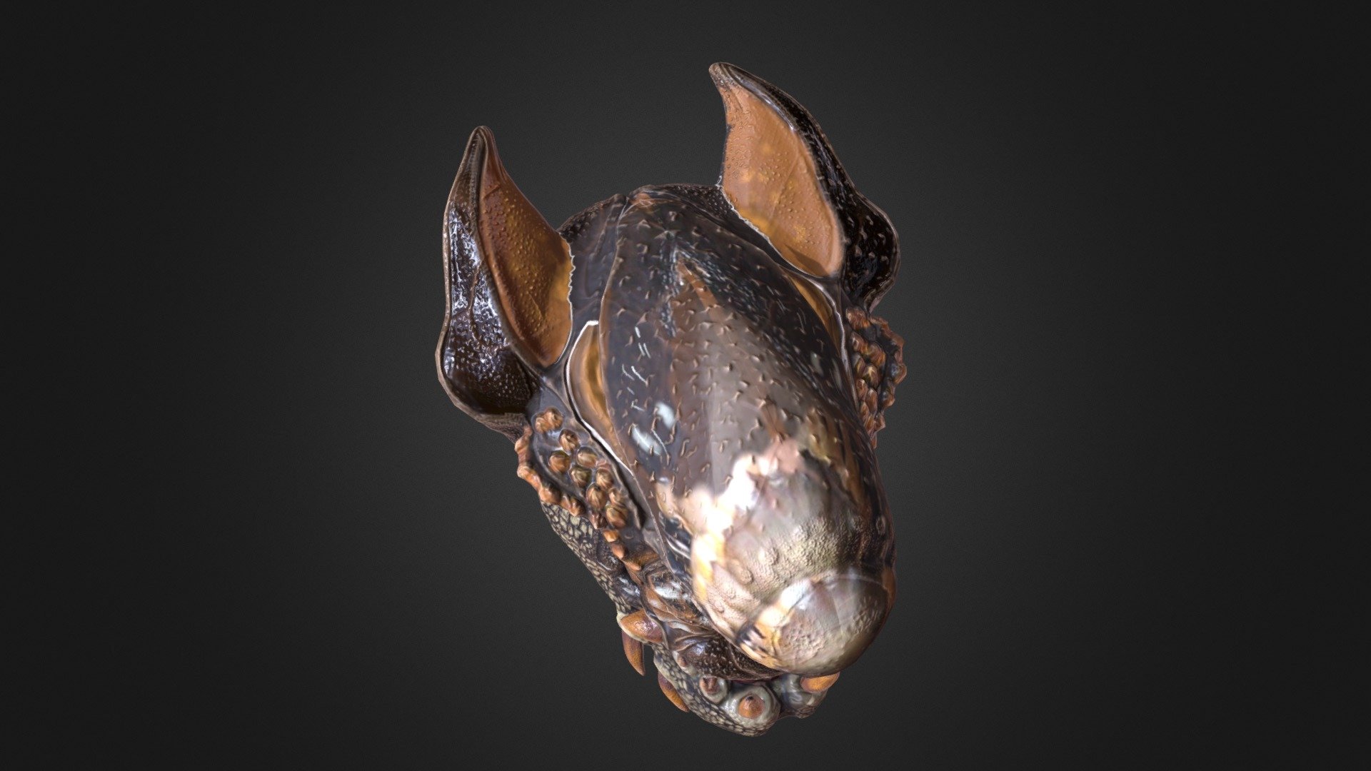 zoanoid - 3D model by stgkross [e1bc671] - Sketchfab
