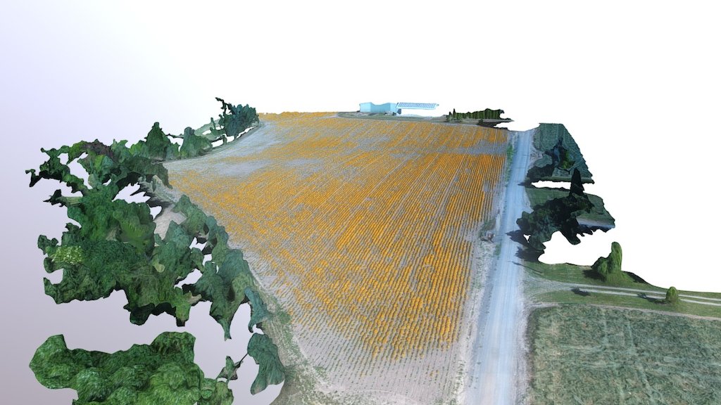Poppy Field - 3D model by ODIN AERIAL (@guderian4) [e1bd7c7] - Sketchfab