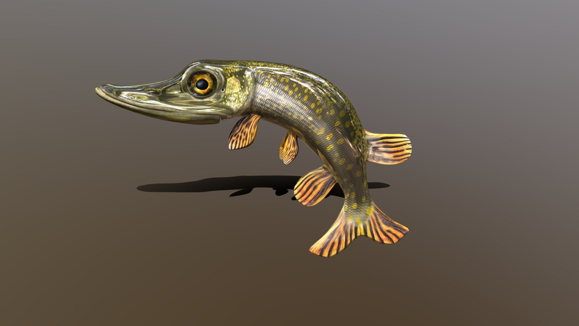 fabulous pike fish сказочная щука - 3D model by Rob Aglius (@tridenoff ...