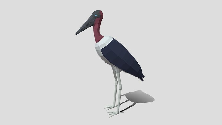 Stork 3D models - Sketchfab