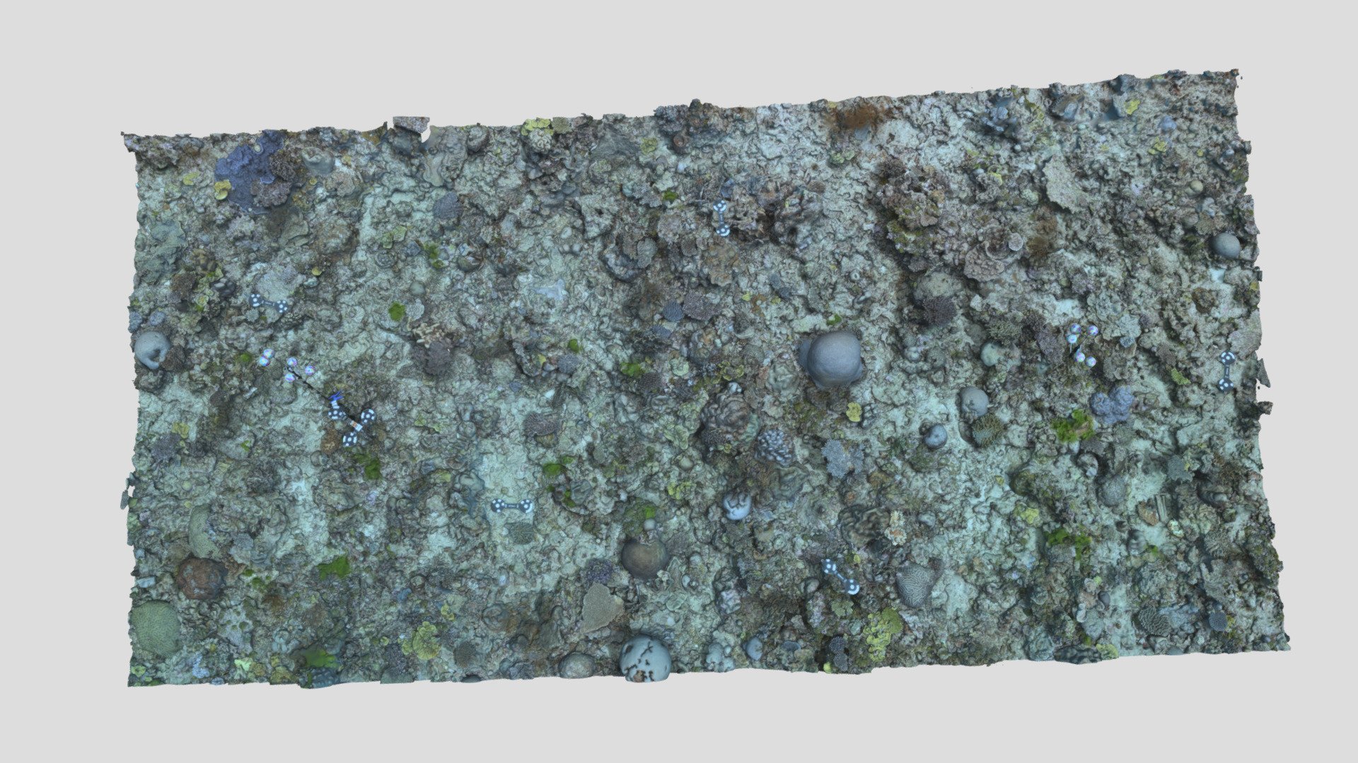 Heron_FR1S_P2_202105 - Download Free 3D model by EcoRRAP (@AIMSEcoRRAP ...