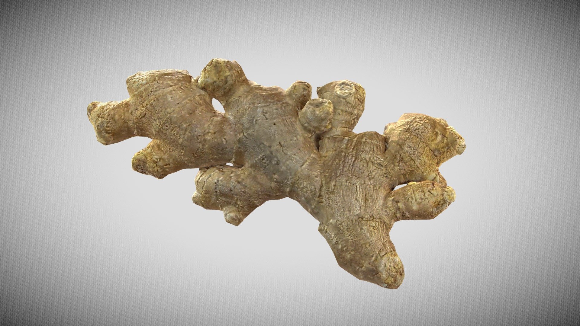 Ginger (2K texture + PBR) - Download Free 3D model by lannoo.niels ...