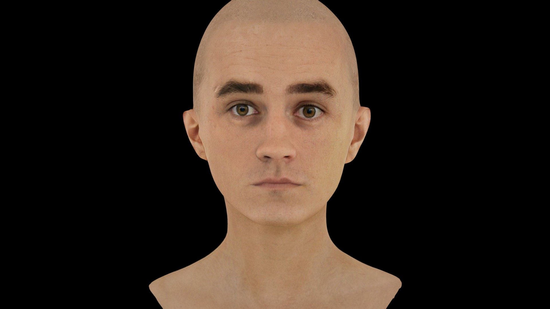Human Dignity Collection | www.acuteline.com - Download Free 3D model ...