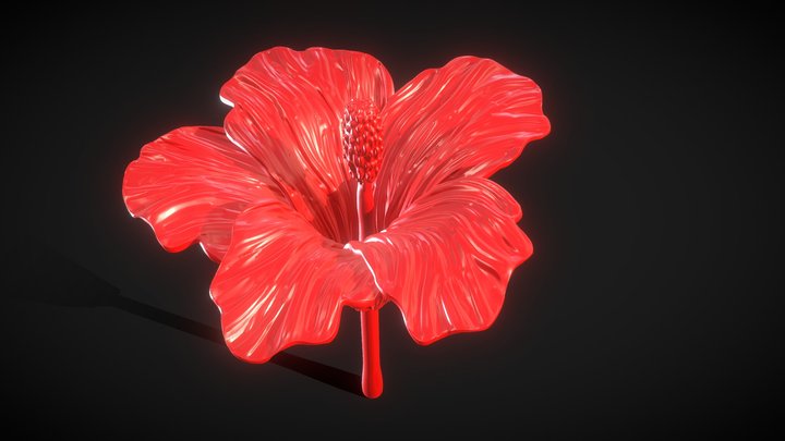 Hibiscus 3D models - Sketchfab