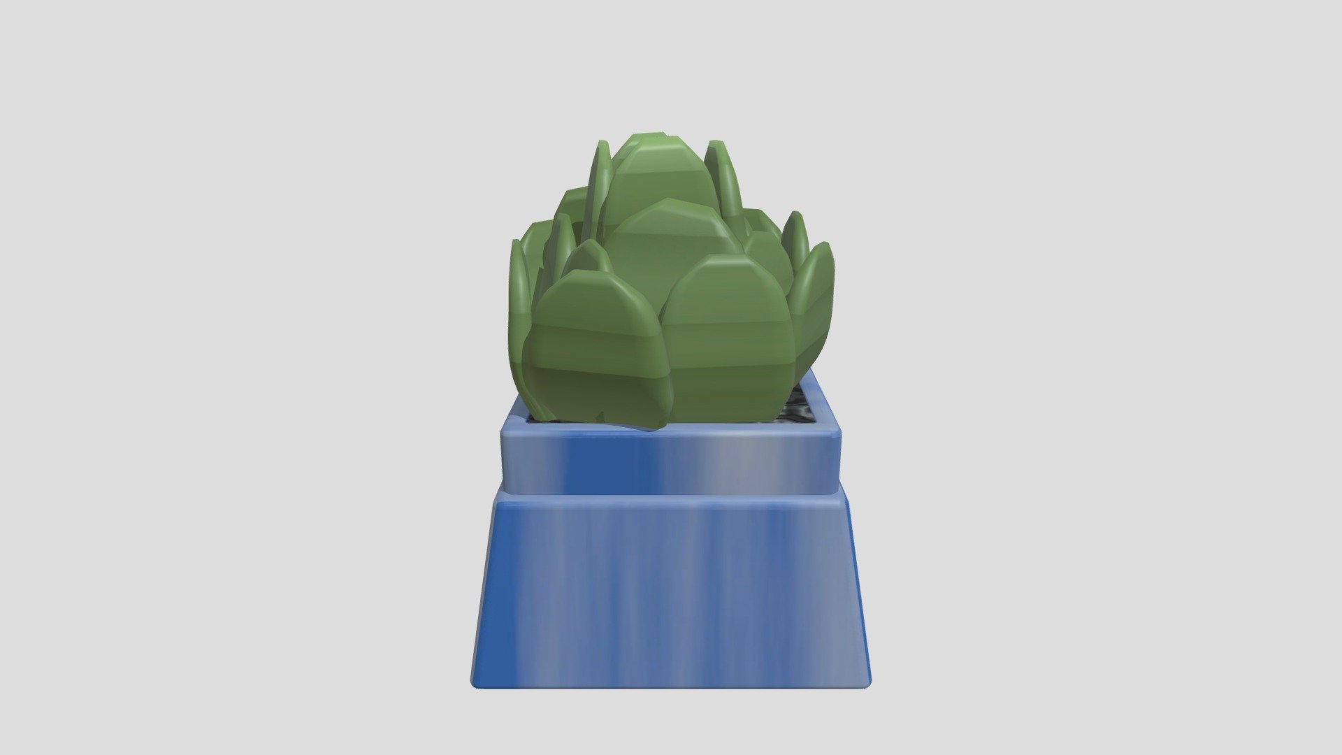 Pocket Cactus - Download Free 3D model by Bognar Gabriella (@bogabria ...