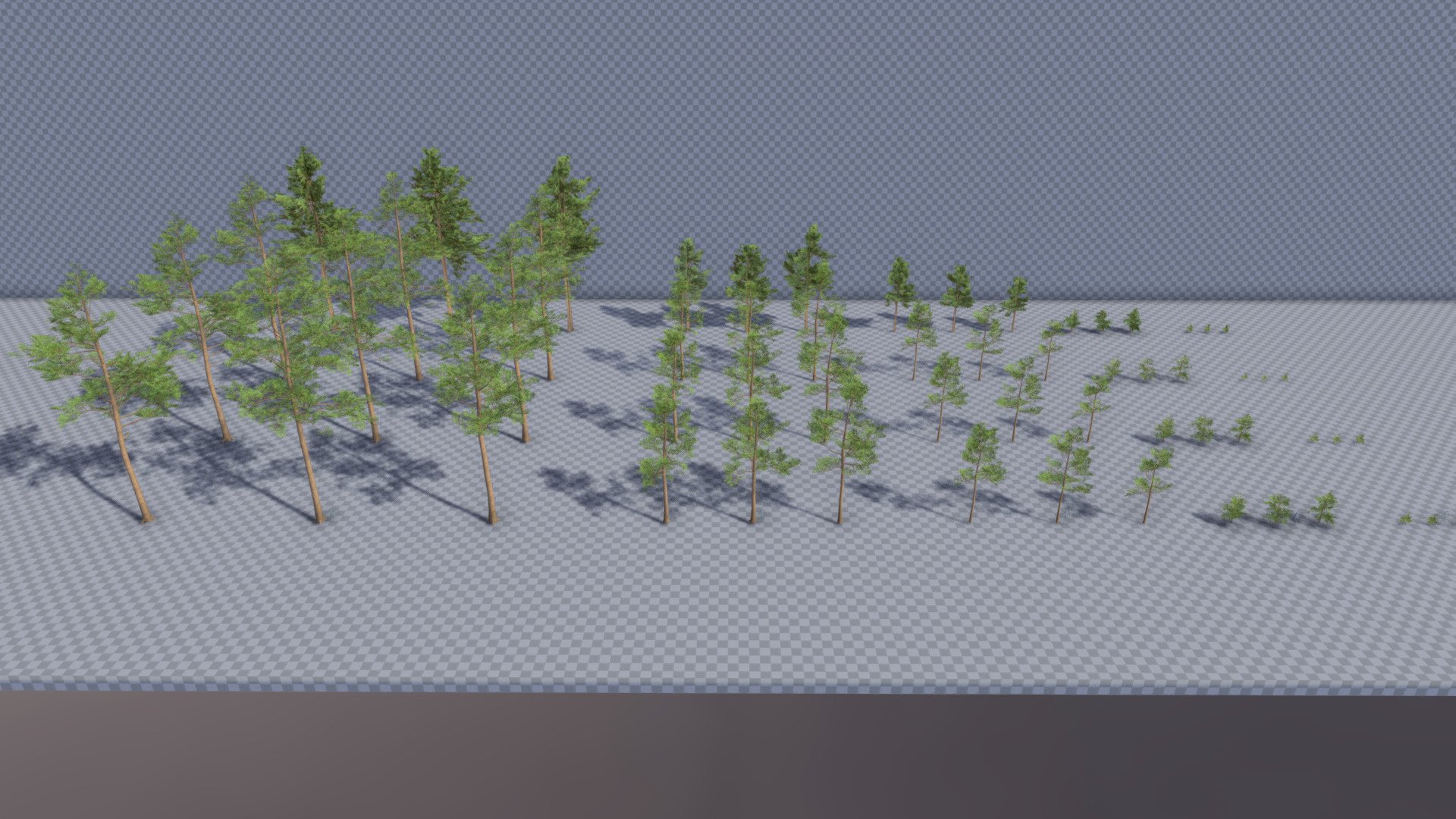 Pine trees pack (lowpoly, game ready, LODs) - Download Free 3D model by LOLIPOP (@lolipop_1707 ...