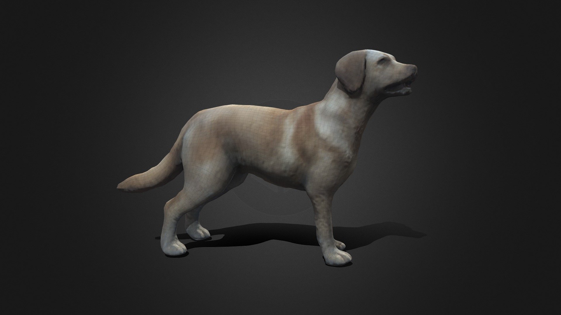 Dog 4 - 3D model by alitural [e1edf2b] - Sketchfab
