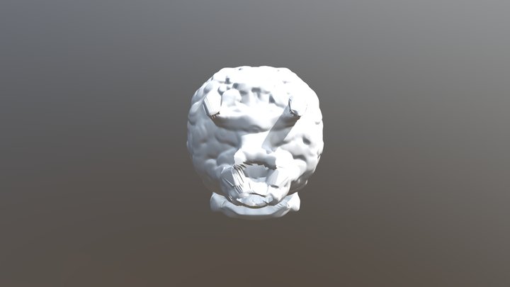 Sheep-head 3D models - Sketchfab