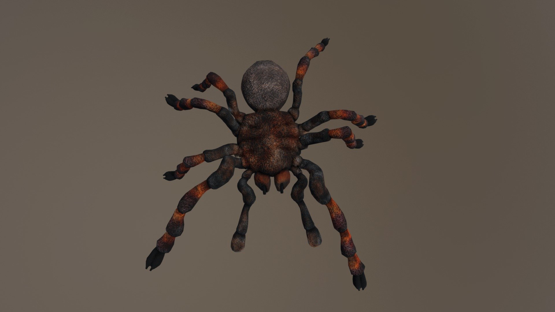 spider2_animation - 3D model by YuraSytenko [e1f5337] - Sketchfab