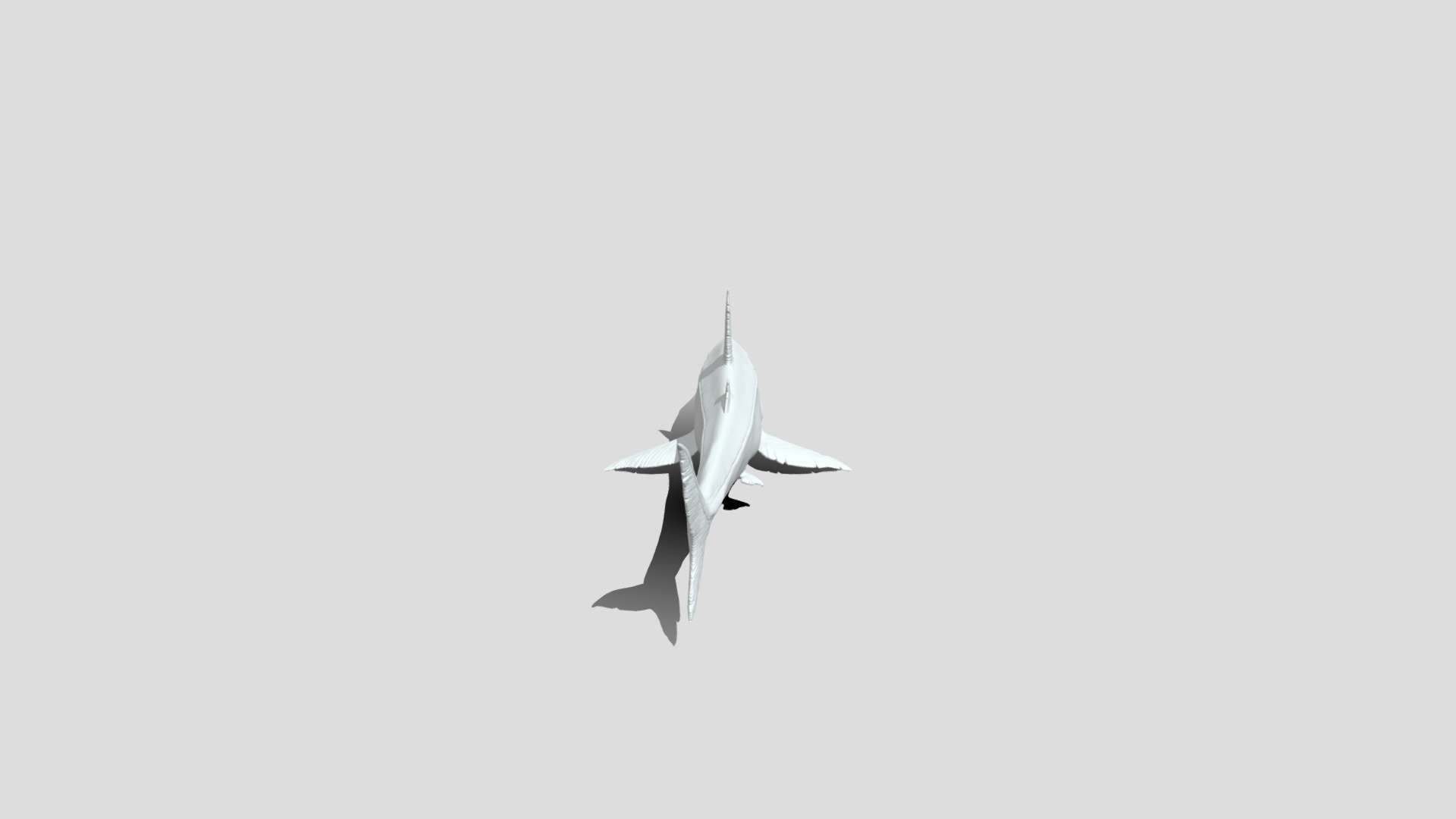 Helicoprion (Helicoprion Bessonowi) 1/35 - Download Free 3D model by Wr ...