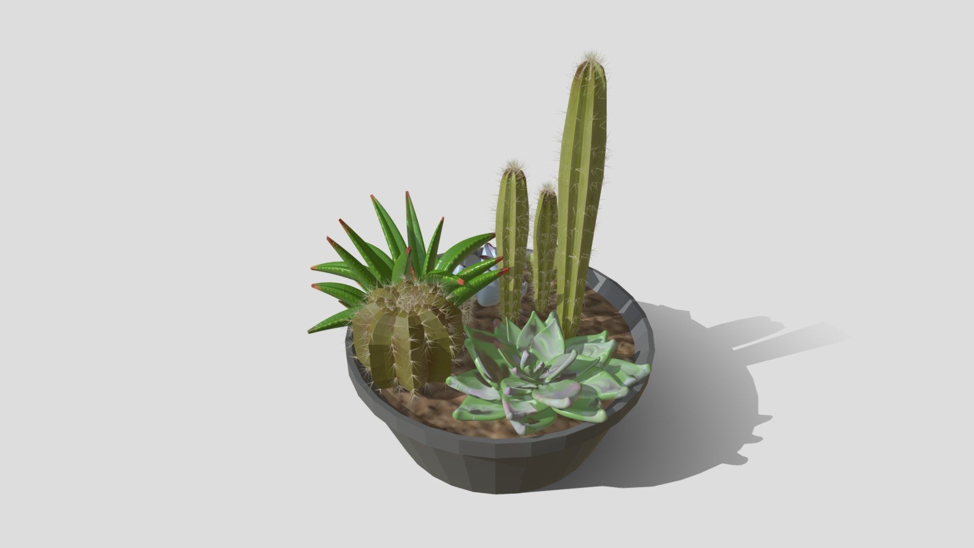 Mixed Succulent Pot - Foliage Prop - Download Free 3D model by rkduke ...