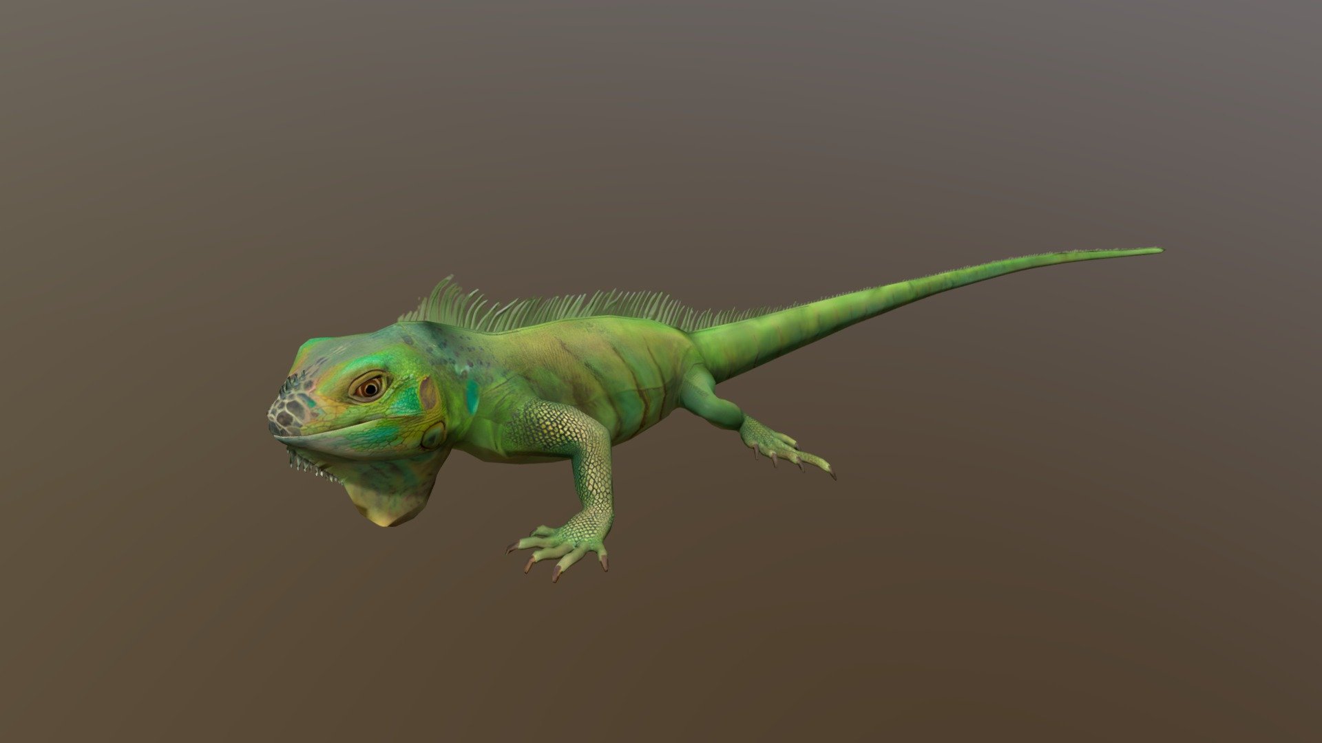 Iguana - Download Free 3D model by kenchoo [e1ff821] - Sketchfab