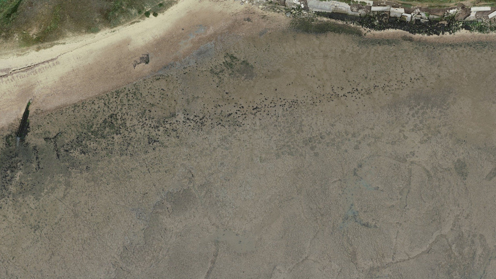 Intertidal Pits UAV Data - 3D model by Jim..... [e1ffa41] - Sketchfab