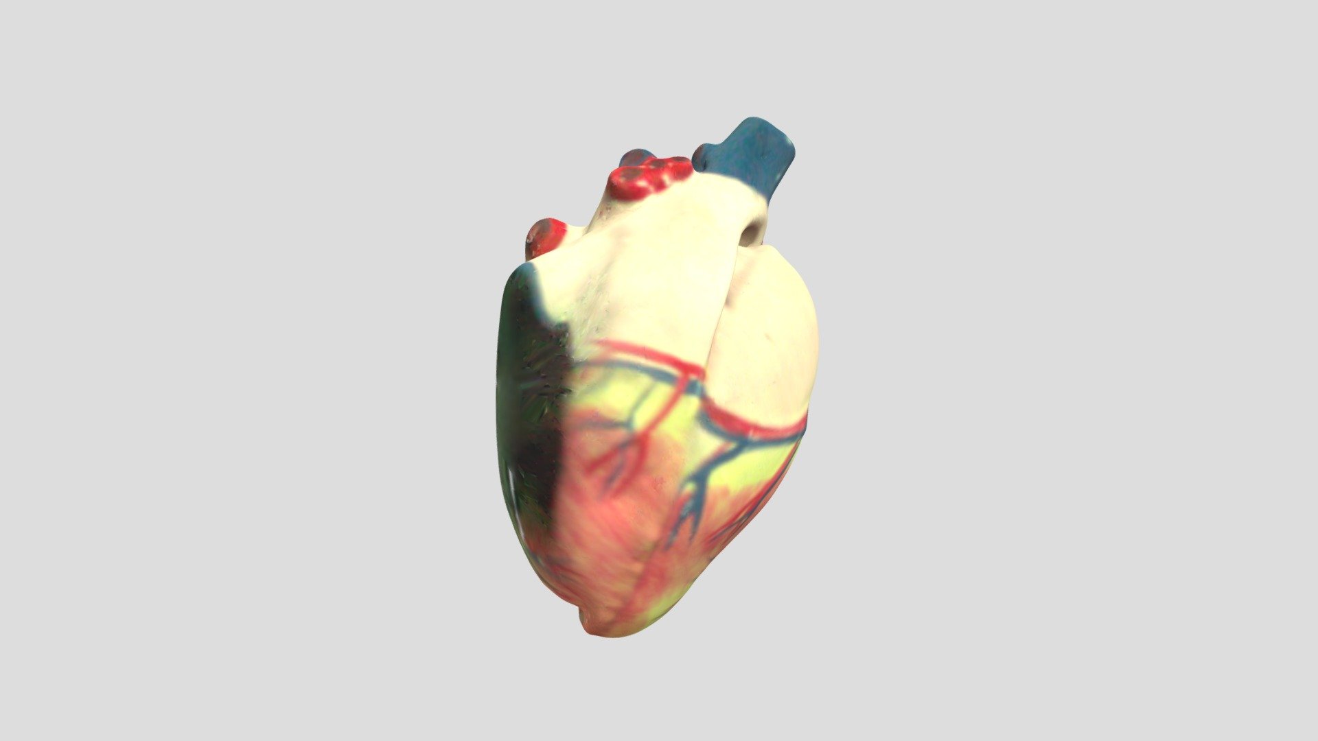 Corazon - 3D model by erickjveru862 [e209a7c] - Sketchfab