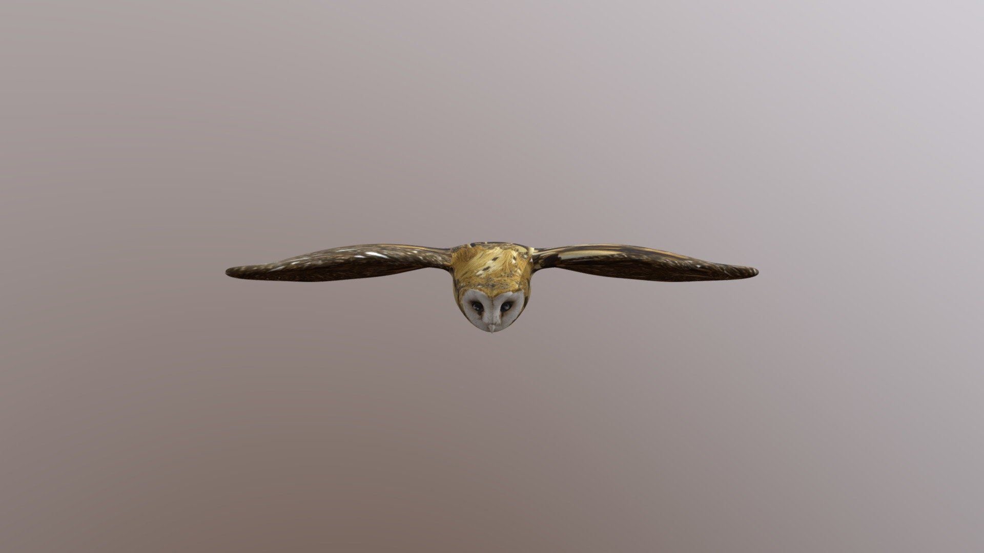Buho UV - 3D model by HajoPunk [e20eb36] - Sketchfab