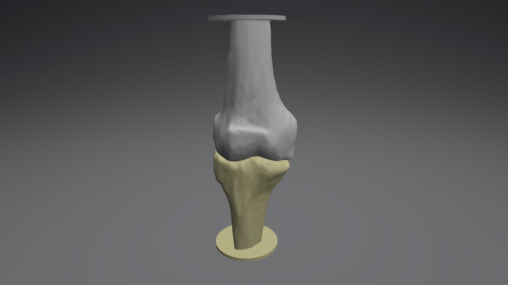 SN09 - 3D model by Nathan @ 3DM (@nathan.wang) [e21c895] - Sketchfab