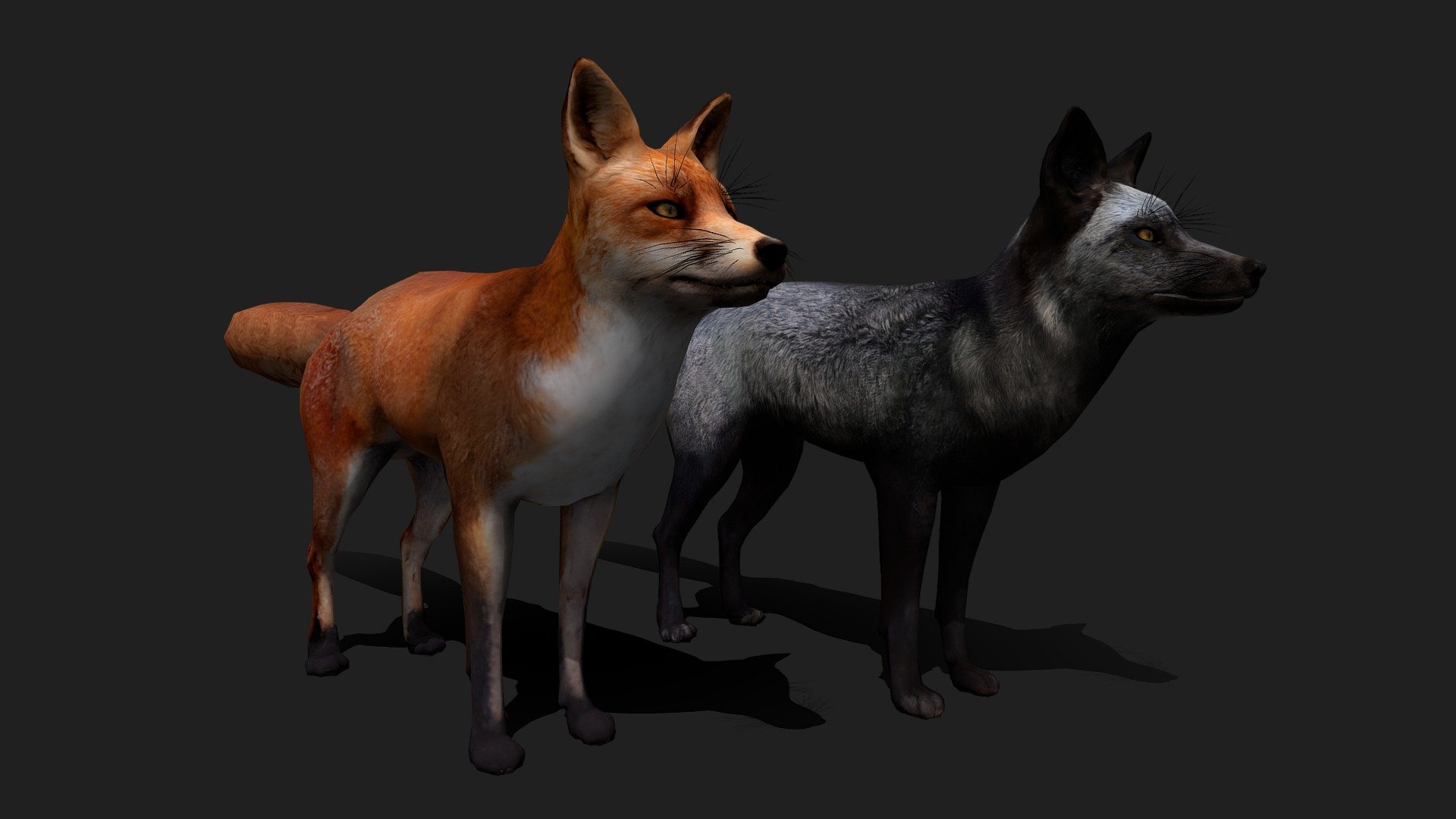Realistic Fox 3D Model - 3D model by WildMesh 3D (@WildMesh_3D ...