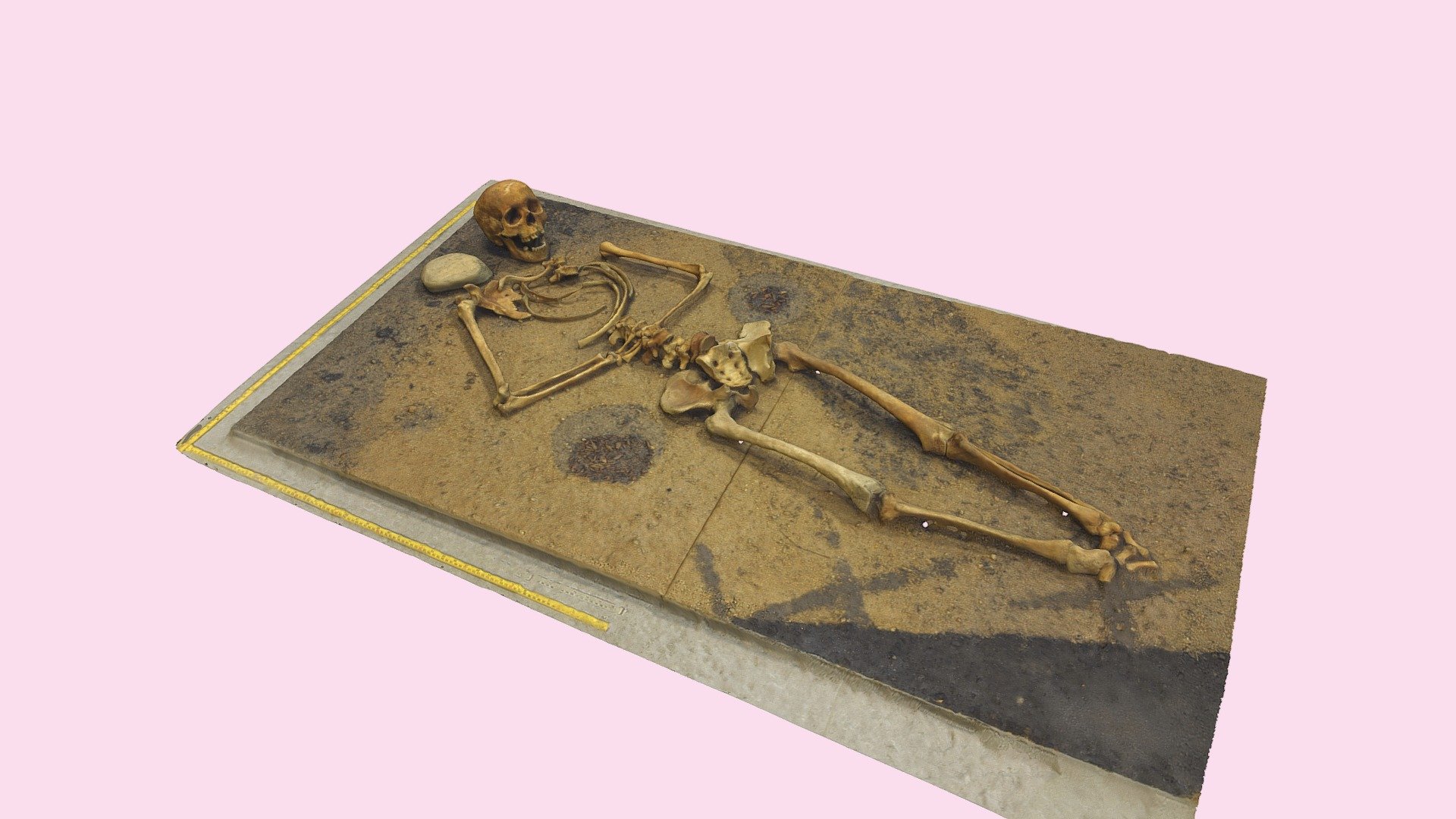 Reconstructed burial - 3D model by sjenna [e225454] - Sketchfab