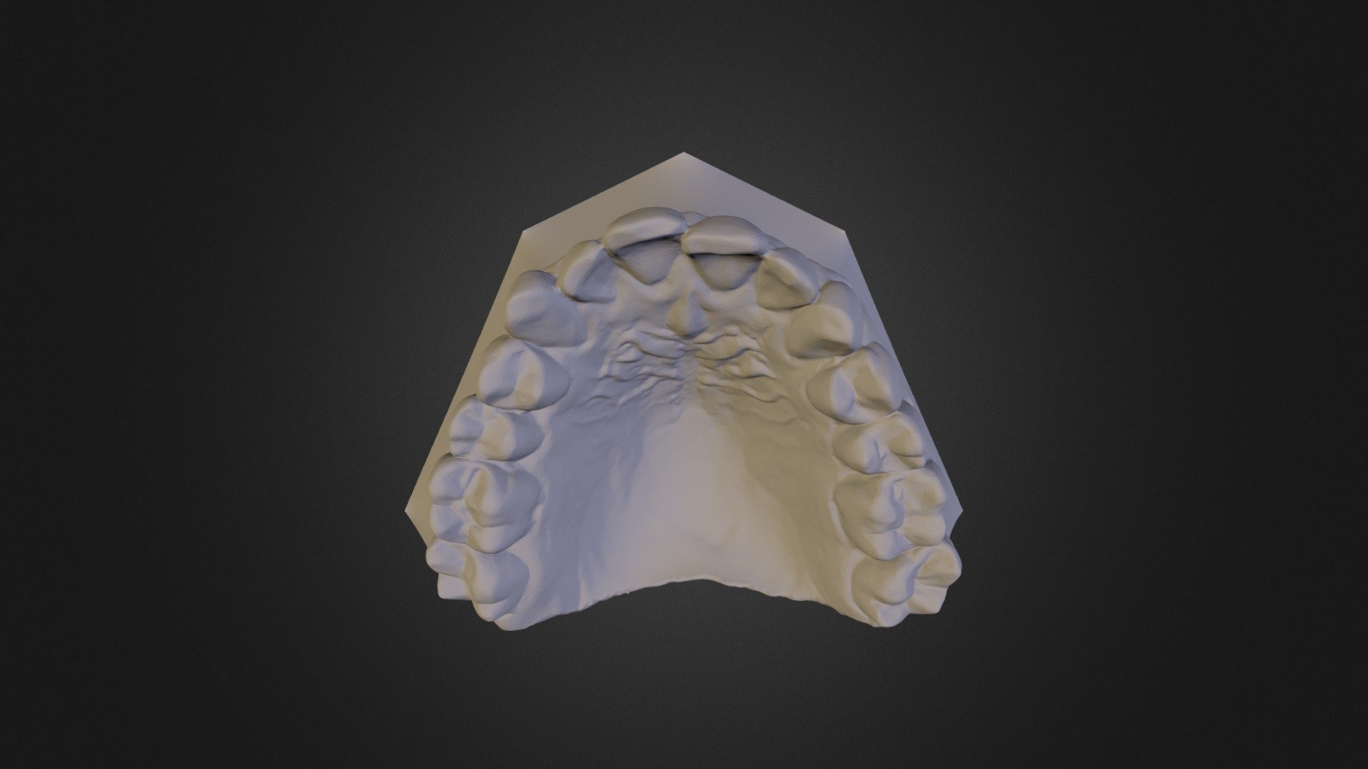 Maxillary Model MC - 3D model by focli [e226b96] - Sketchfab