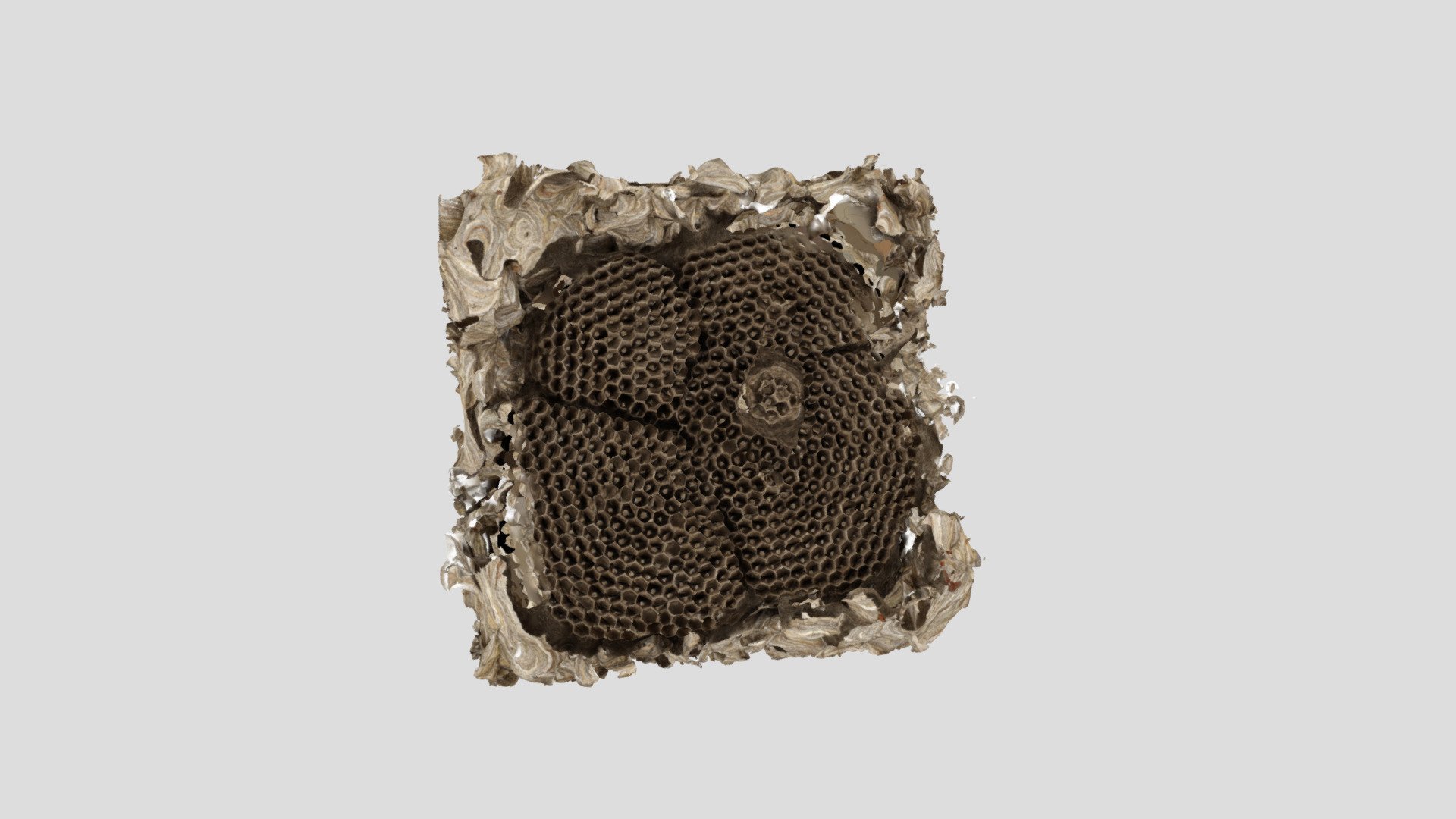 Alveare - 3D model by SMA-UniGe [e228379] - Sketchfab