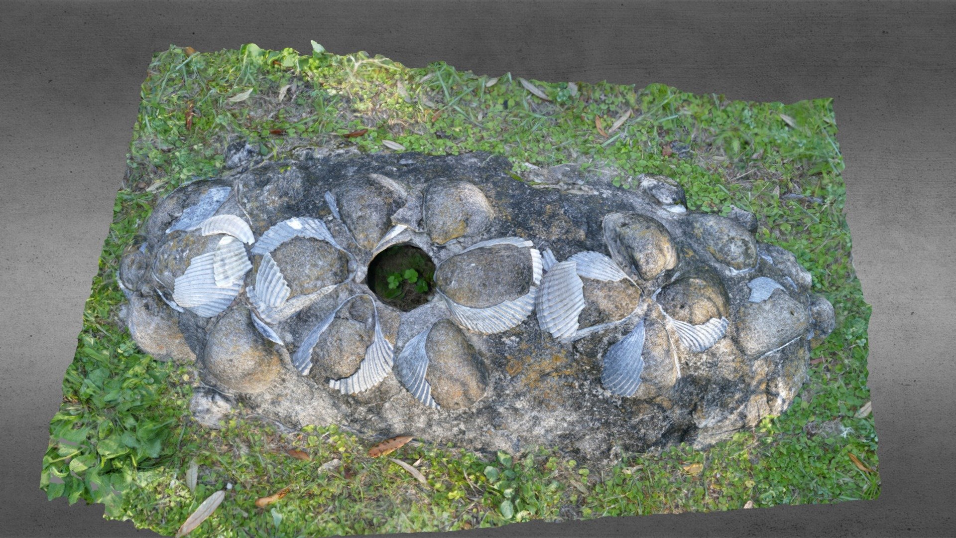 Shell Mound - 3D model by UWFArchaeologyInstitute [e2317cb] - Sketchfab