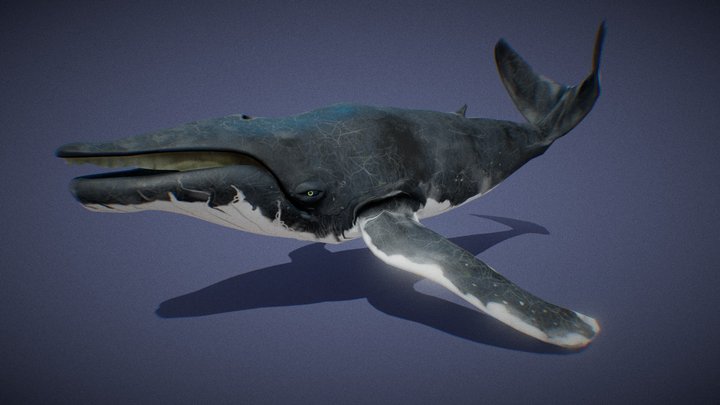 Ocean 3D models - Sketchfab