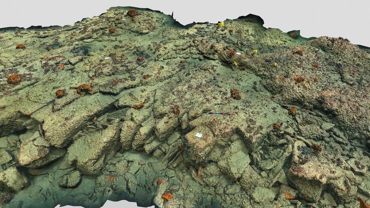 Underwater 3D models - Sketchfab