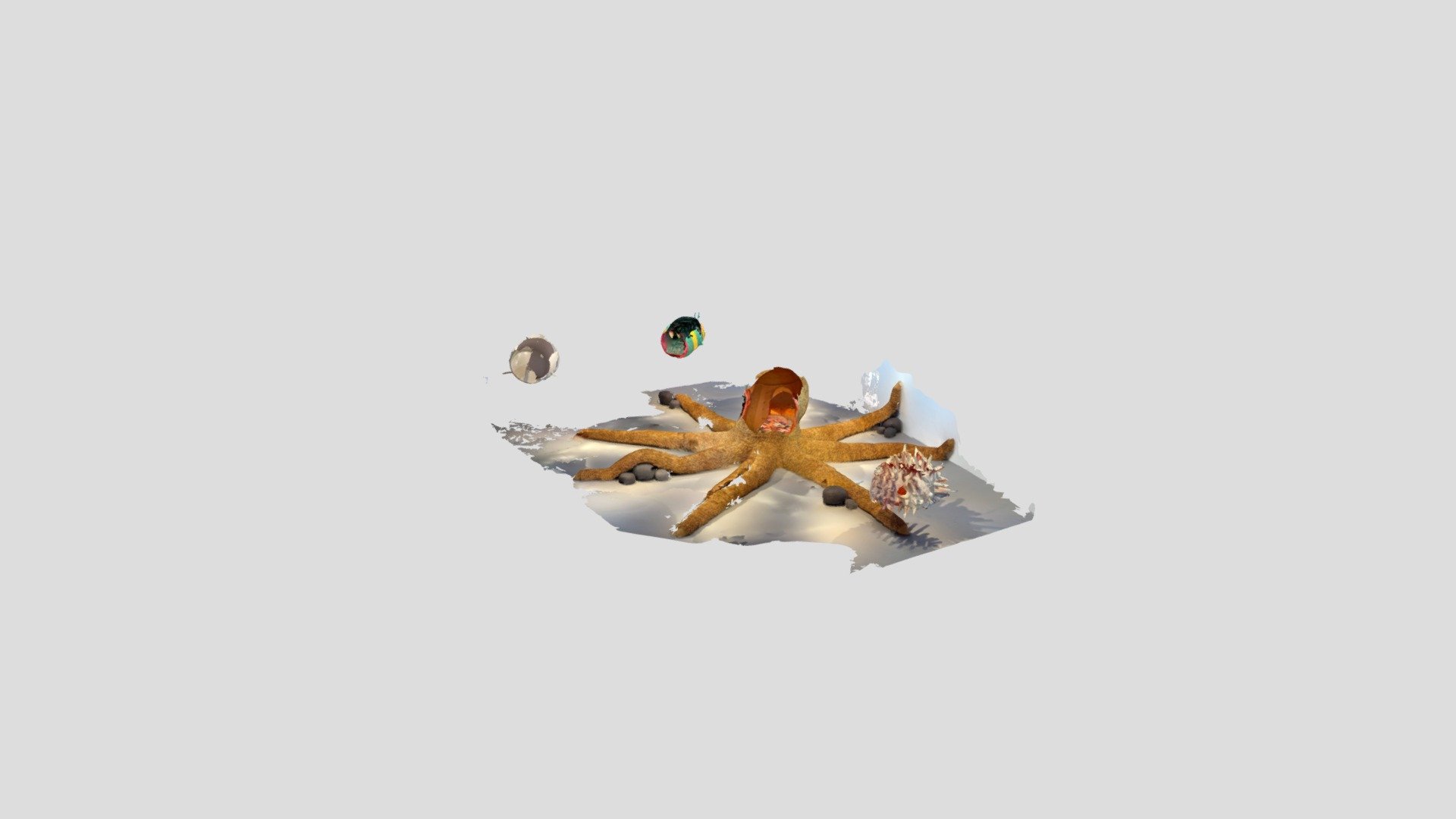 Octopuns-poly - Download Free 3D model by PHORIA XR STUDIO (@scann3d ...