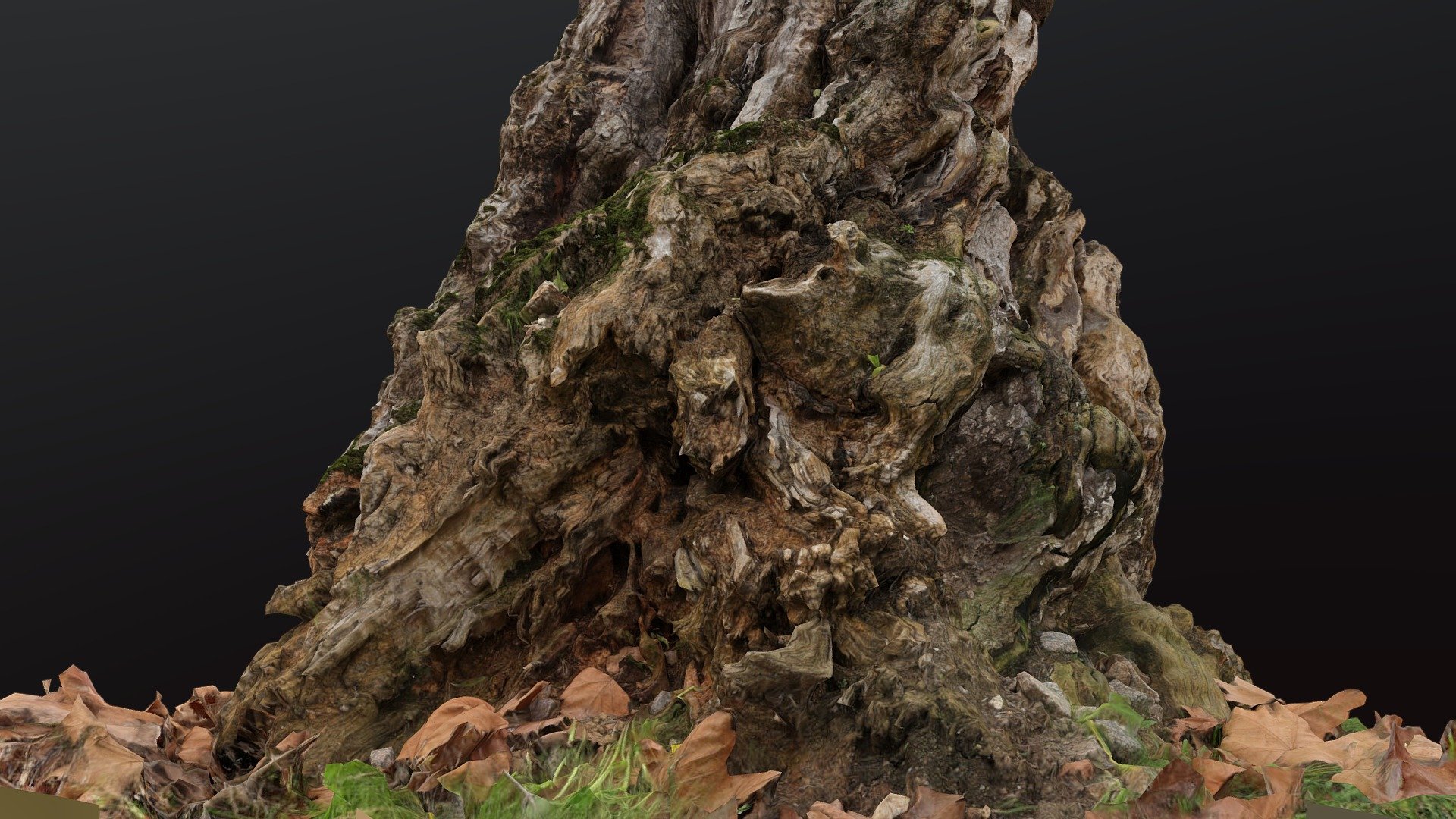 tree trunk - Download Free 3D model by SKMT (@srkmt) [e2429ae] - Sketchfab