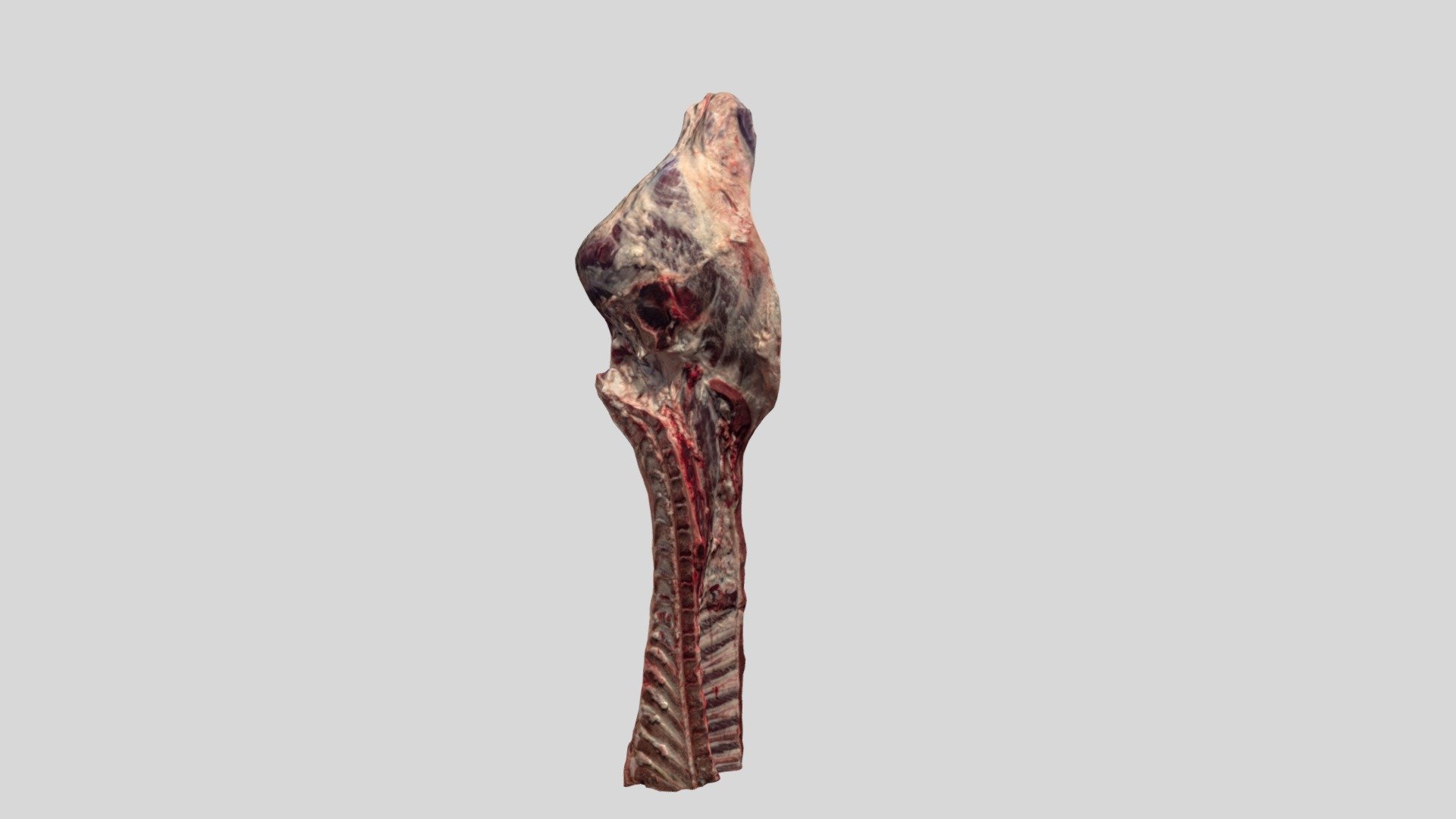 Photogrammetry Meat Carcass - Buy Royalty Free 3D model by arcsander ...