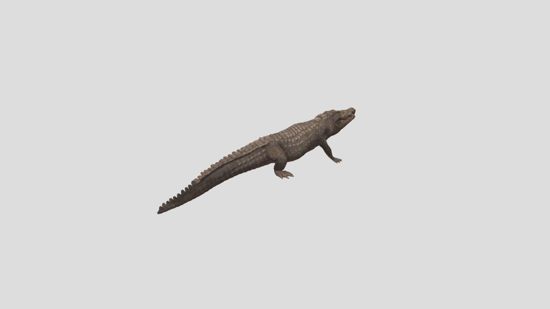 Croc by Sid - Download Free 3D model by Sid (@Siddharthakur) [e2512d7 ...