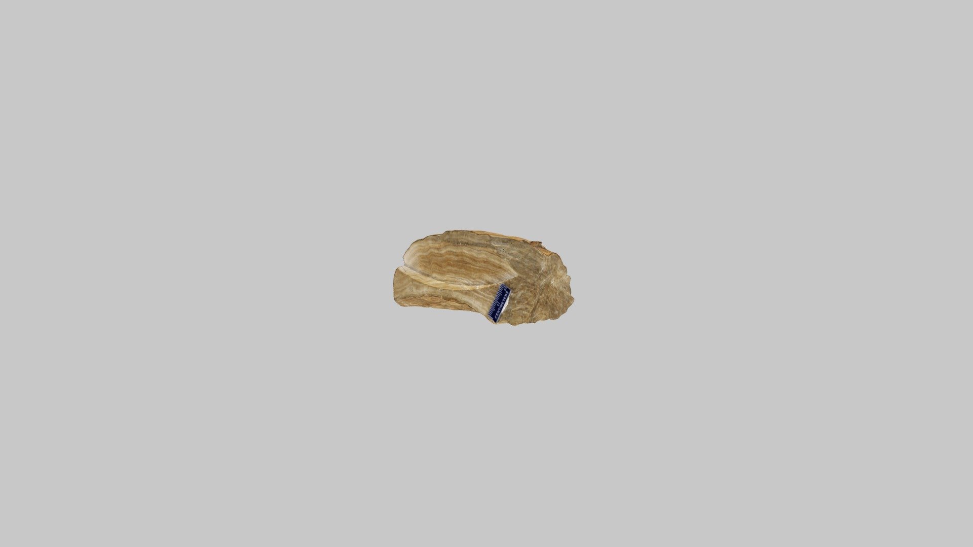 fossil sample 5 - Download Free 3D model by UTSC DPES (@Daxberger ...