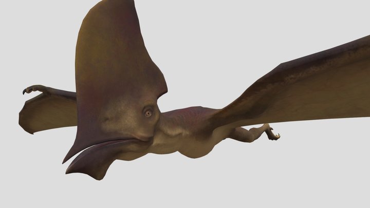 Pterosaur 3D models - Sketchfab
