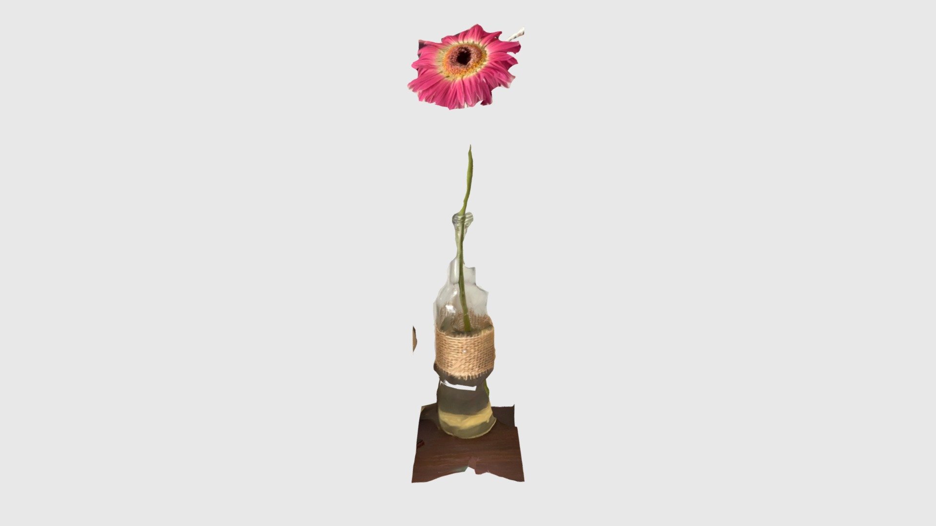 Kytka - Download Free 3D model by vanna80 [e25c67d] - Sketchfab