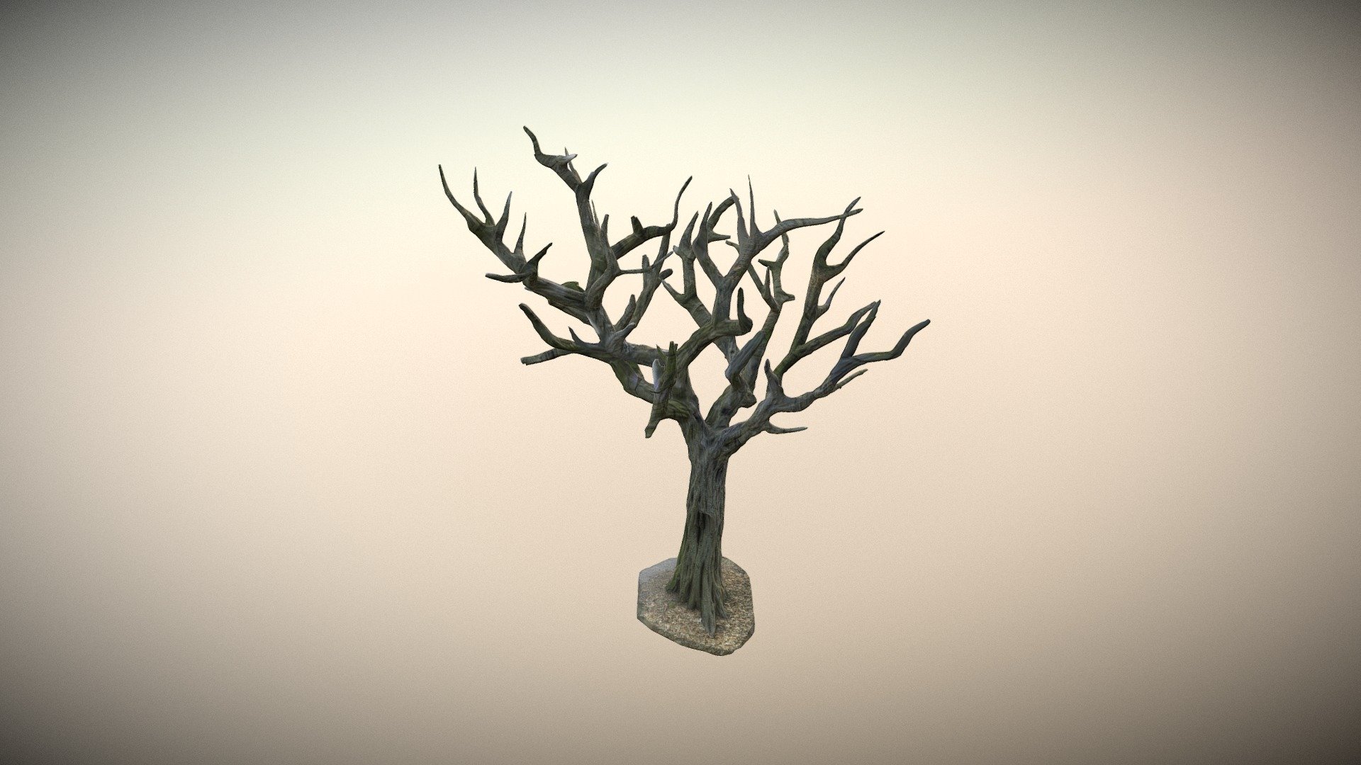 Magic Tree - 3D model by corexpe [e25eee0] - Sketchfab
