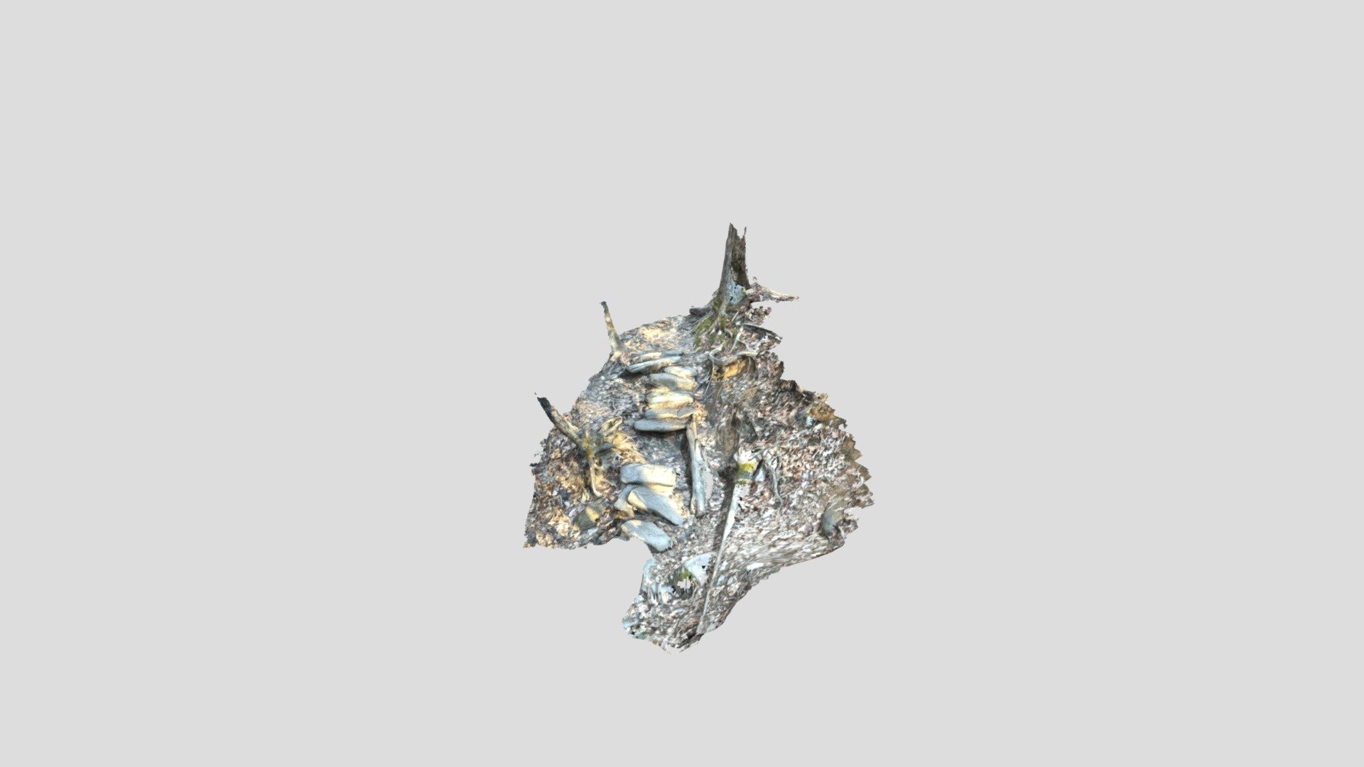 rock path 2 - Download Free 3D model by laanlabs [e263773] - Sketchfab
