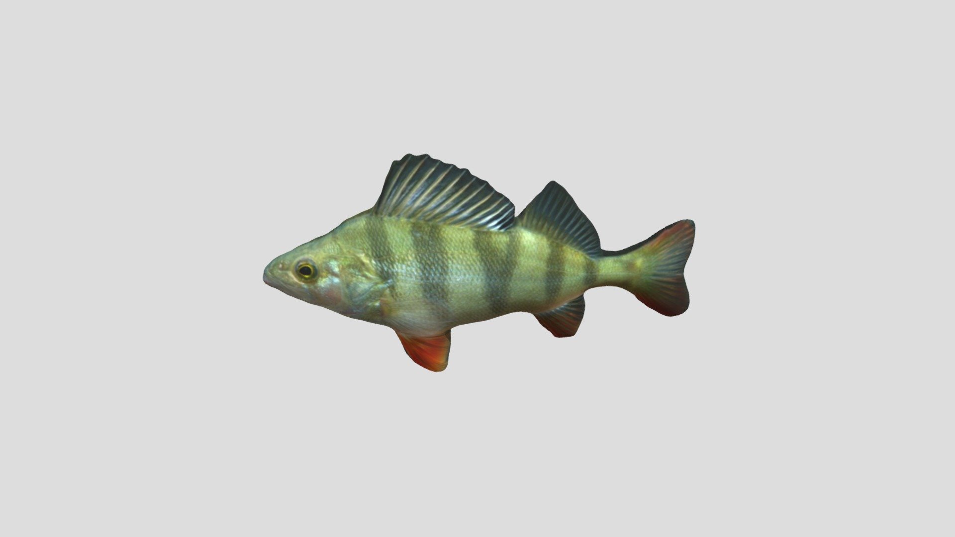 Perch - 3D model by vesk2321 [e272db0] - Sketchfab