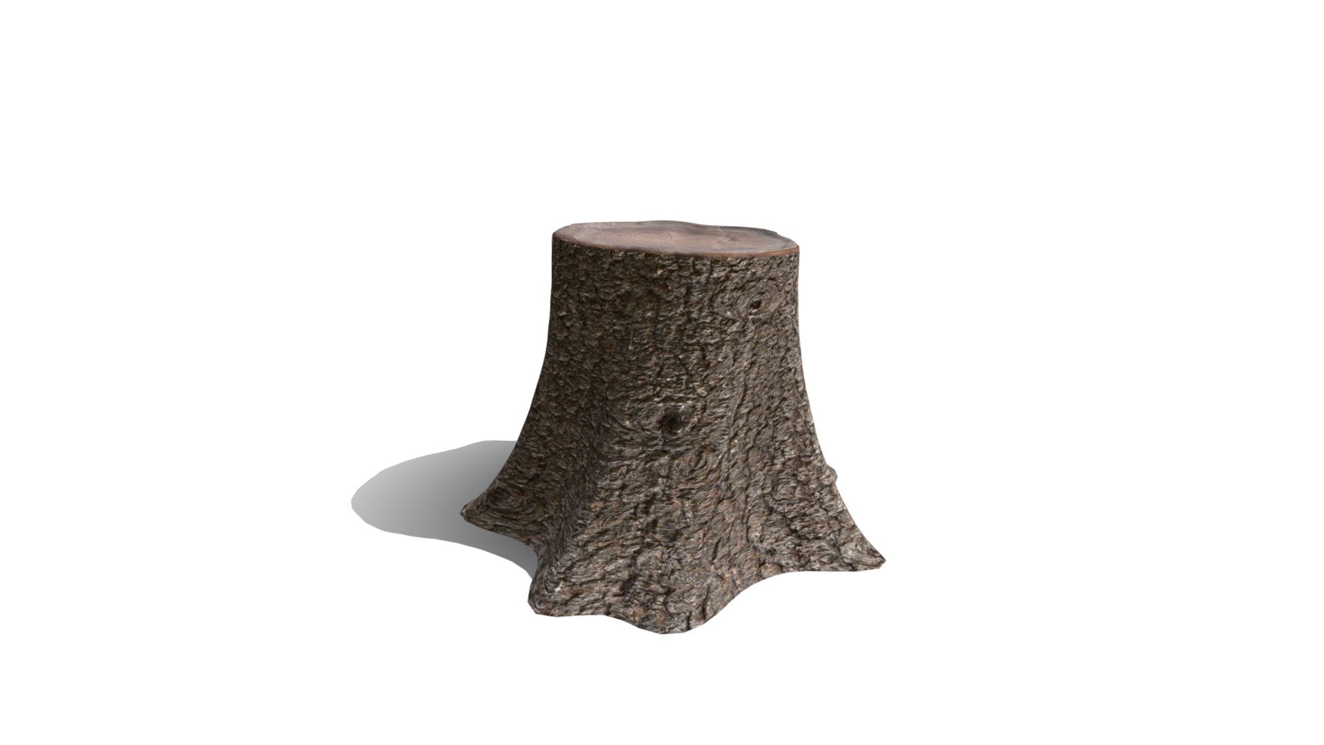 Realistic HD Engelmann spruce (43/43) - Download Free 3D model by ...