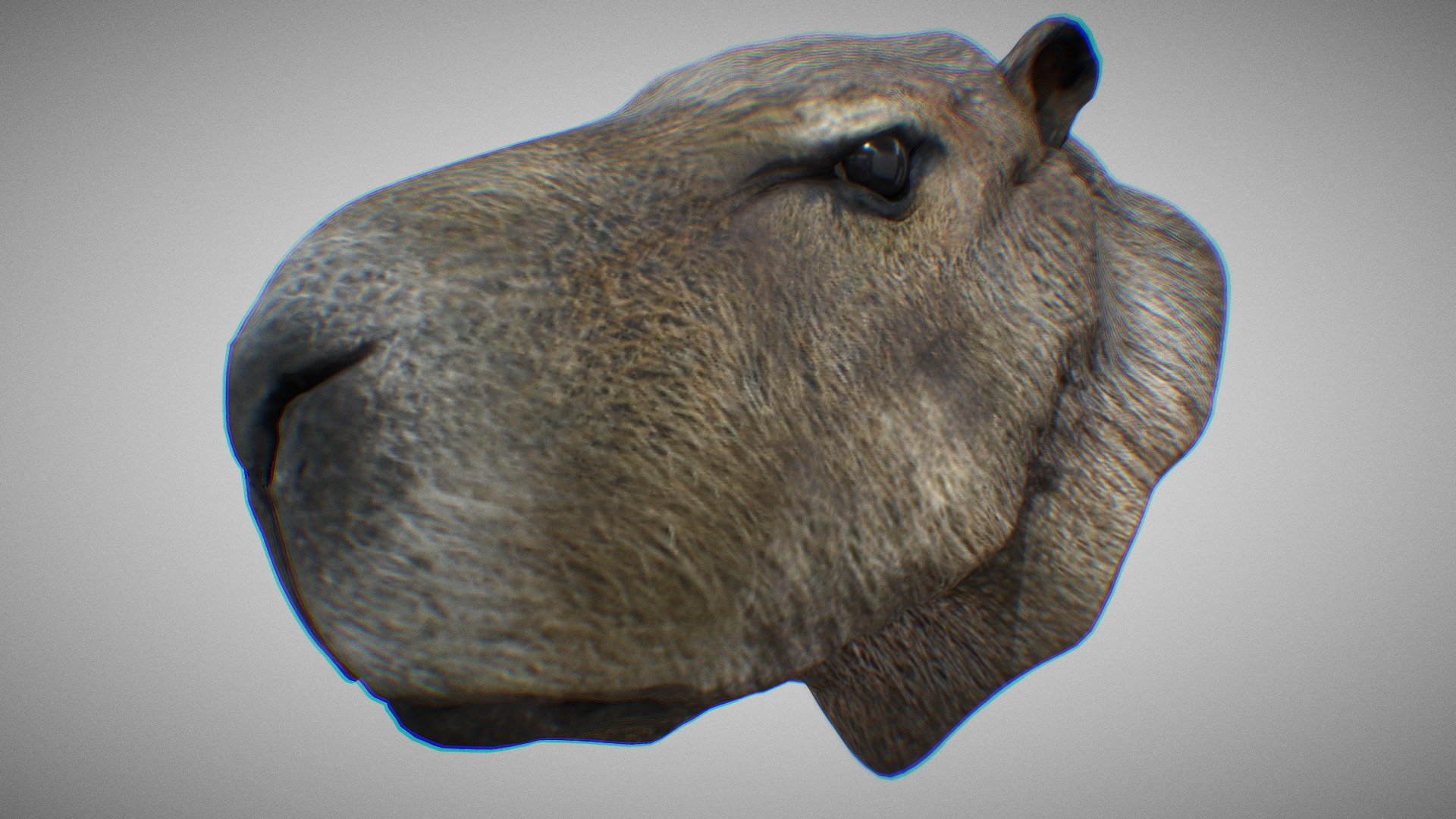 Capybara - Buy Royalty Free 3D model by Tom Johnson (@Brigyon) [e285f40 ...