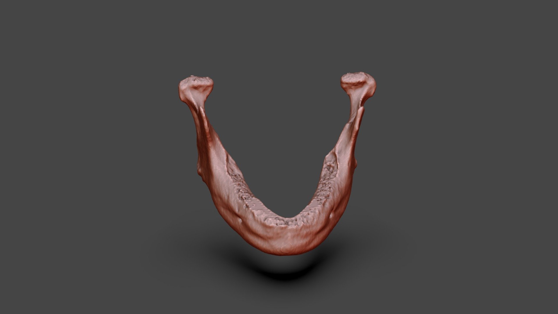 Mandible - 3D model by ninadmanekar [e2860a1] - Sketchfab