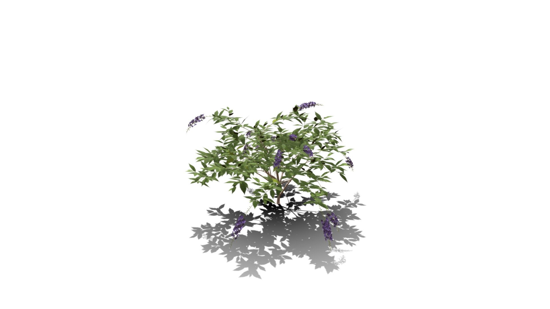 Realistic HD Golden dewberry (1/20) - Download Free 3D model by ...